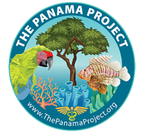 Home – The Panama Project